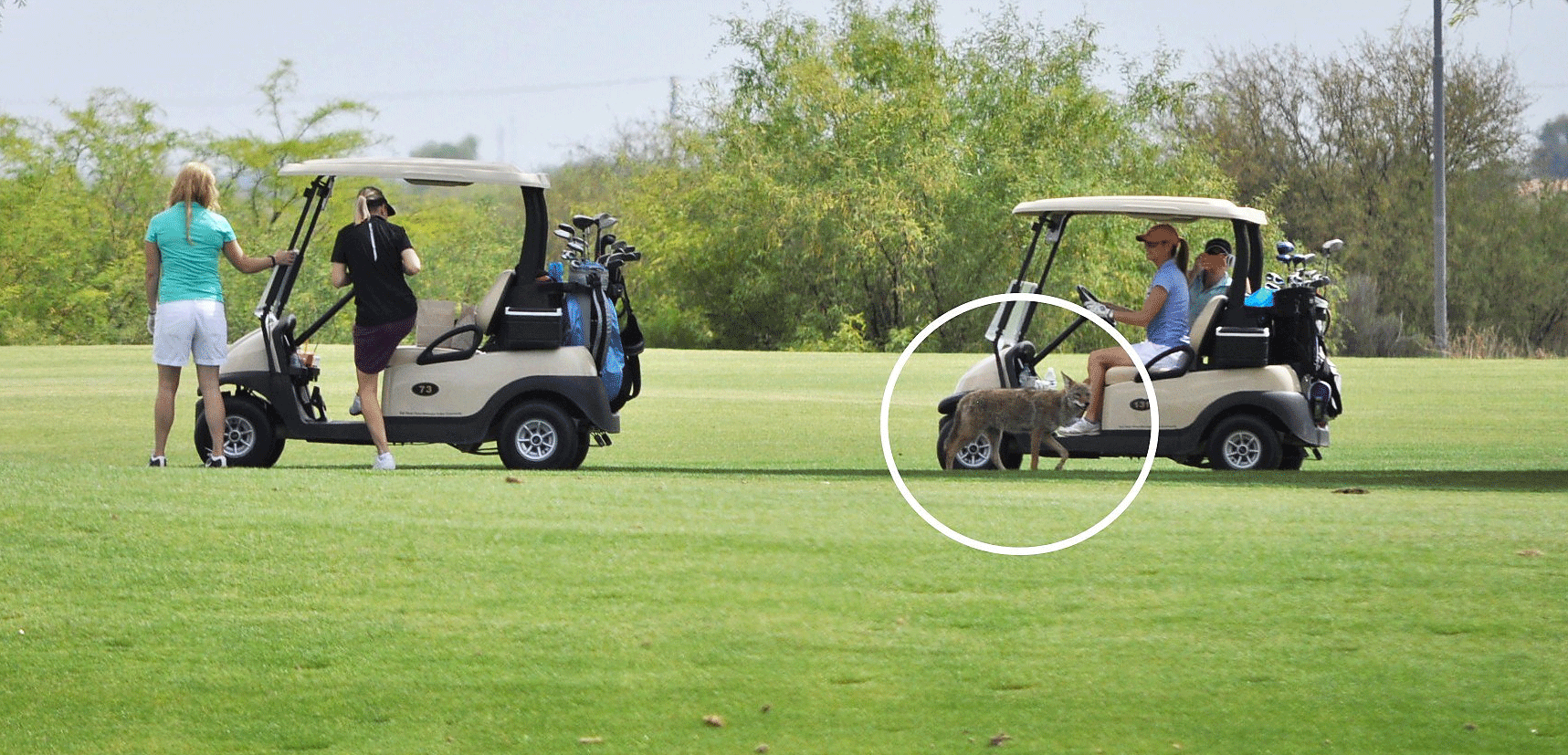 Talking Stick: Best golf resorts | GOLF's Top 100 Resorts 2019