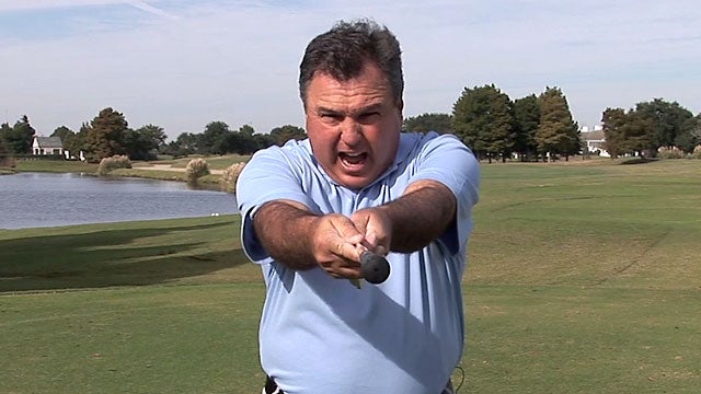 Manzella Degrees of Freedom