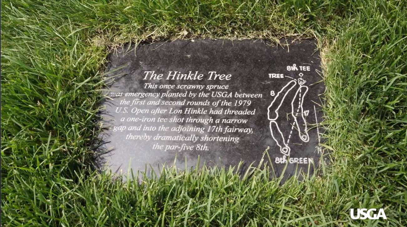 Iconic Venues | The Hinkle Tree at Inverness - Golf