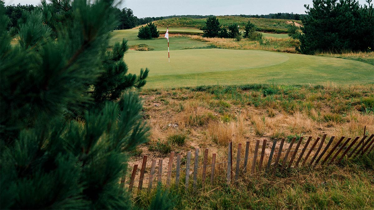 Field guide: It's more than just the scenery that sets Sand Valley apart
