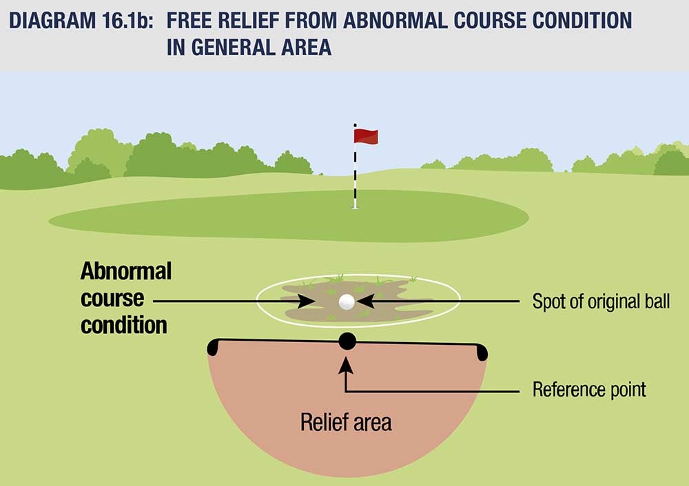 Inside the Bryson DeChambeau drop ruling that had social media buzzing