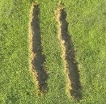 Reminder: This is the best way to take divots on the driving range