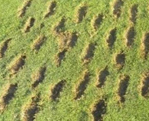 Reminder: This is the best way to take divots on the driving range