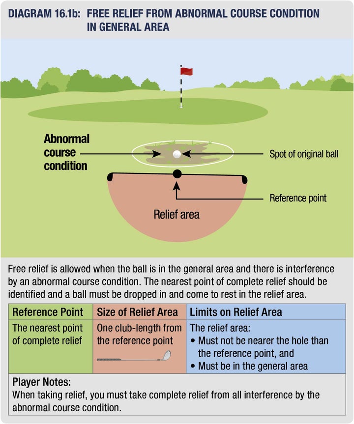 What do you do if your ball ends up in an abnormal course condition?