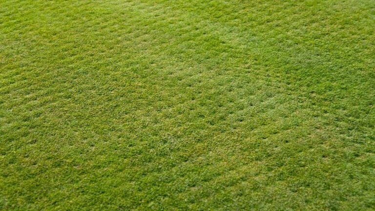 Should you aerate your own lawn? A golf superintendent explains.