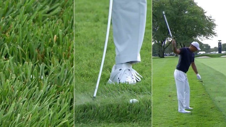 4 examples of how gnarly and punishing Winged Foot's US Open rough is