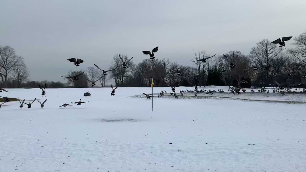 Buried under snow, golf courses provide a different kind of thrill