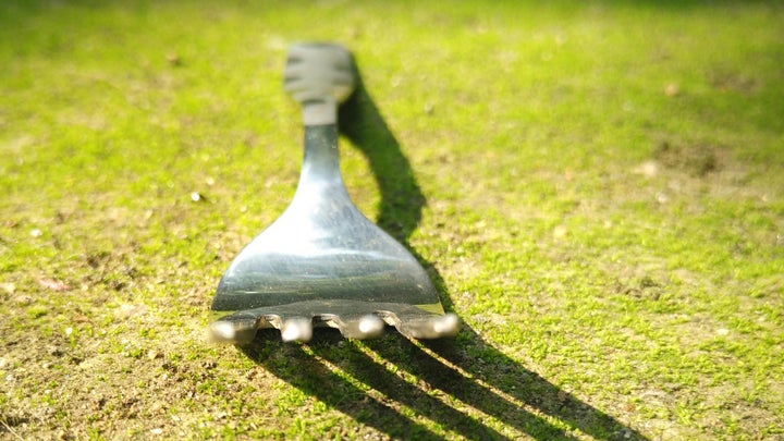 4 quirky lawncare tips we learned from golf-course superintendents in 2020