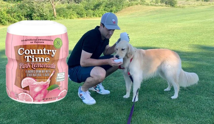 9 things to remember for playing golf with your dog