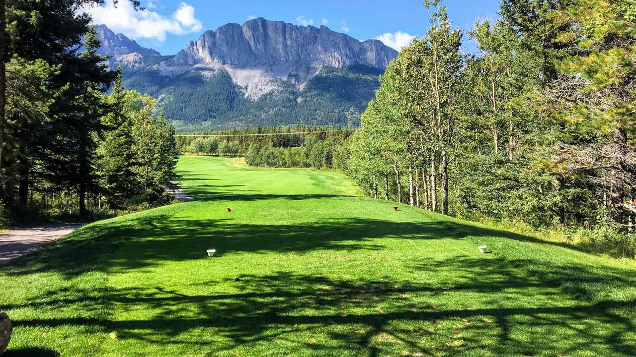 5 reasons why you should play from the forward tees (you'll thank us later)
