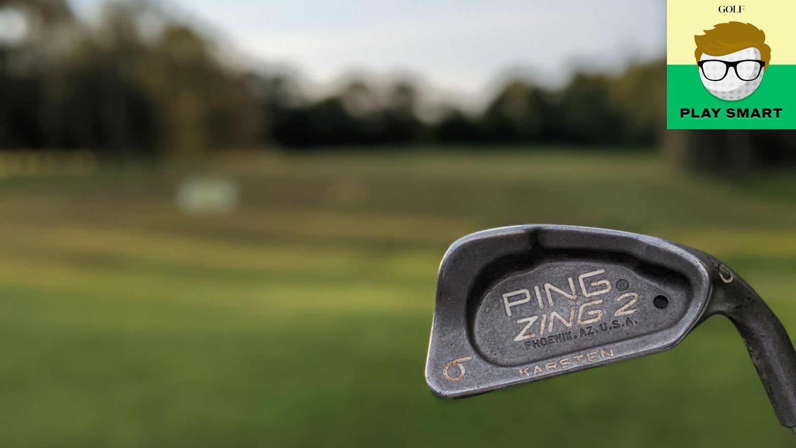 How do these $16 PING Zing 2 irons compare to my gamers?