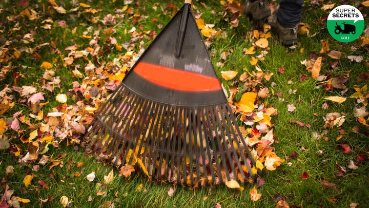 10 essential leaf-raking tips every homeowner needs to know - Golf