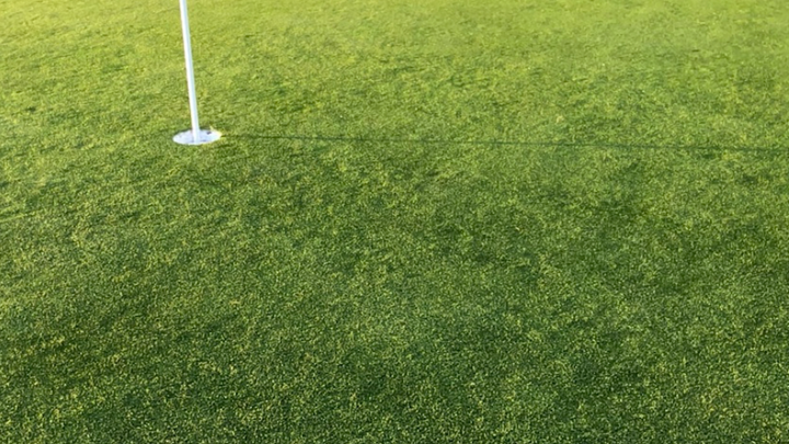 6 grass types every golfer should know, and how each affects your game