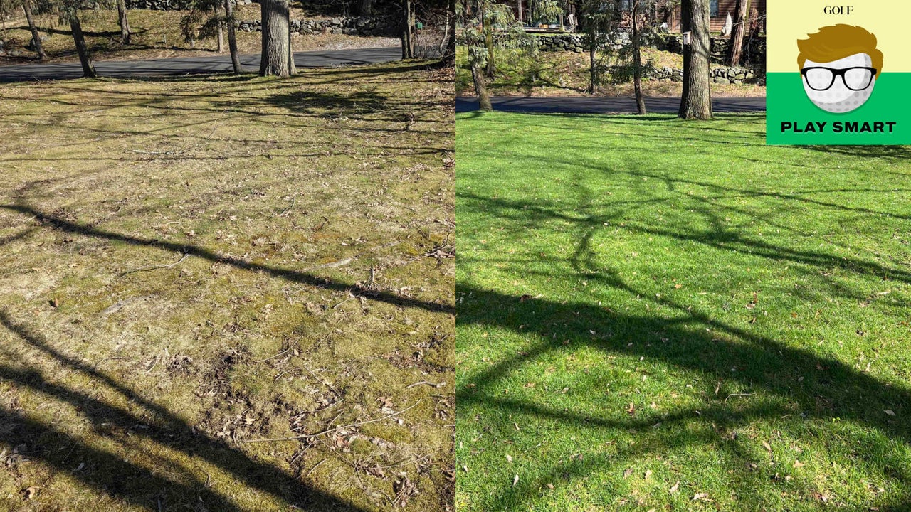How golf course tactics helped me fix my disaster lawn