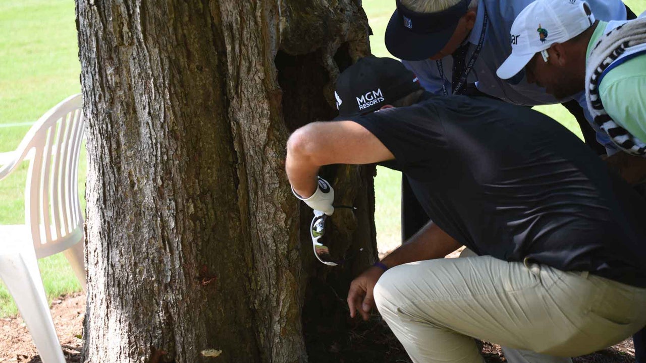If a golf ball gets stuck in a tree, is it considered lost or unplayable?
