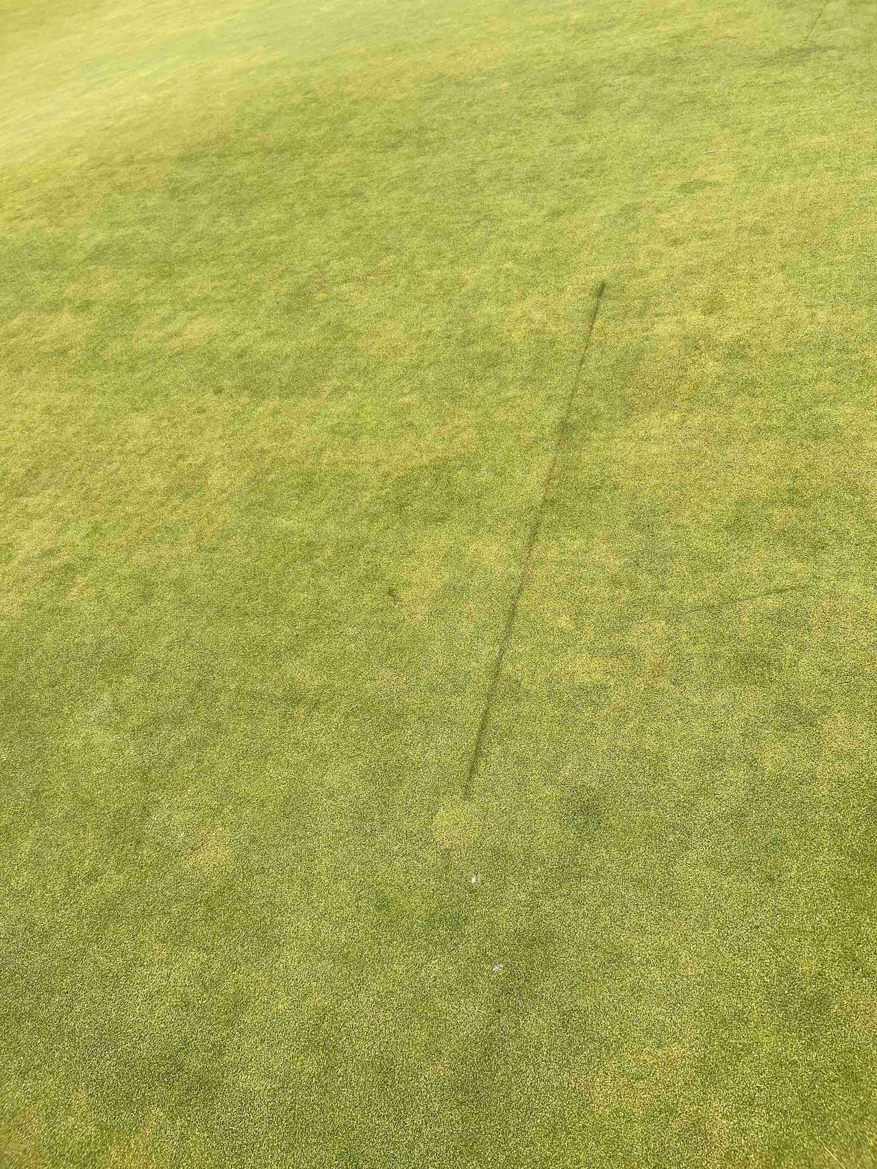 Why you see these lines everywhere on PGA Tour putting greens