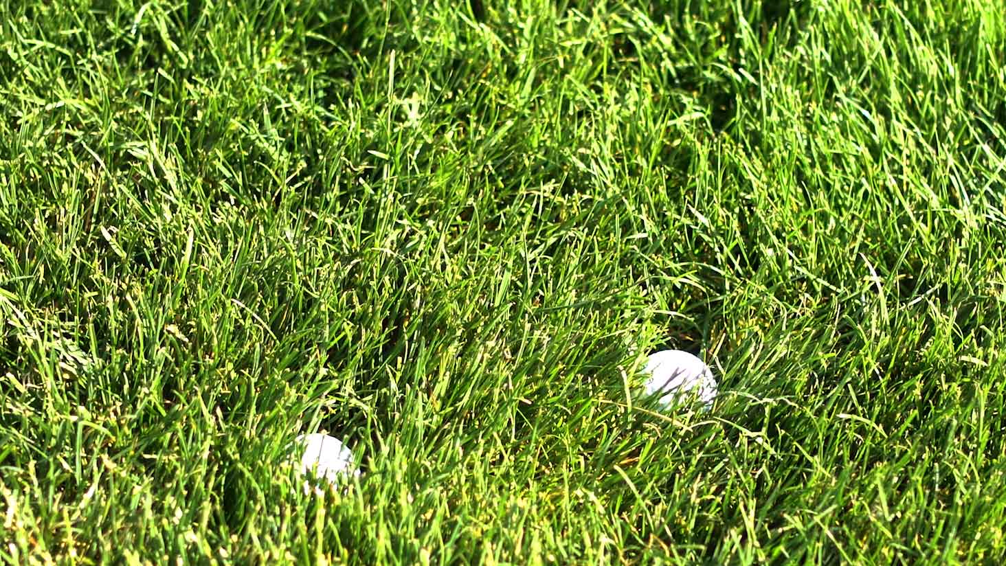 Understanding the most popular escape shot from U.S. Open rough