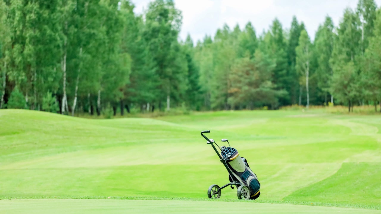 10 best push carts of 2023