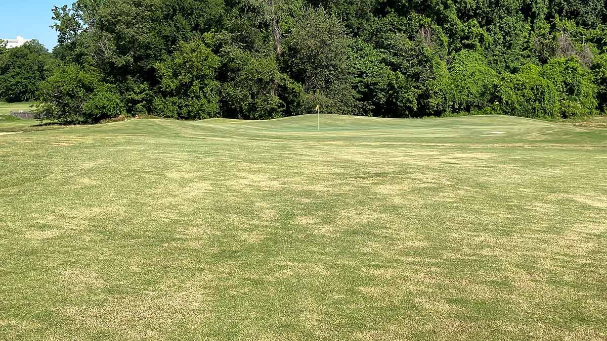 What it's like playing a course you helped build (hint: exhilarating)