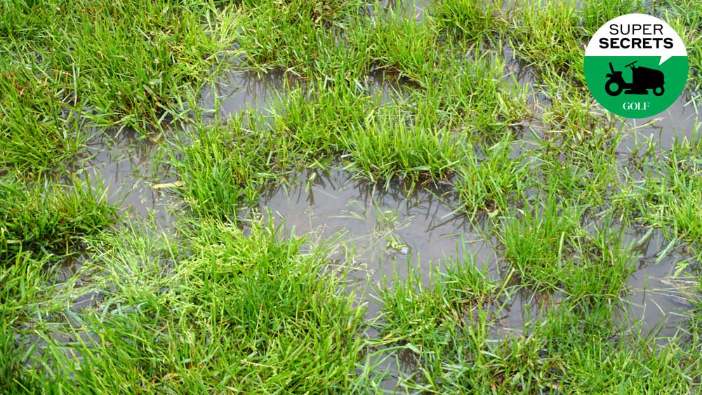 How to protect your grass after heavy rainfall