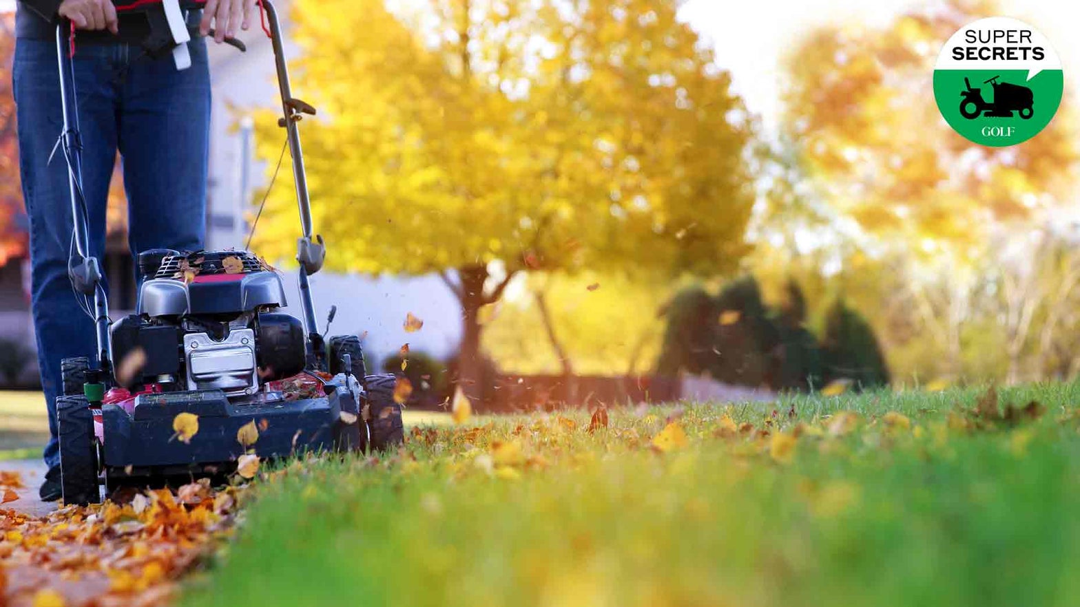 Fall yard prep: Do these 8 things, says superintendent