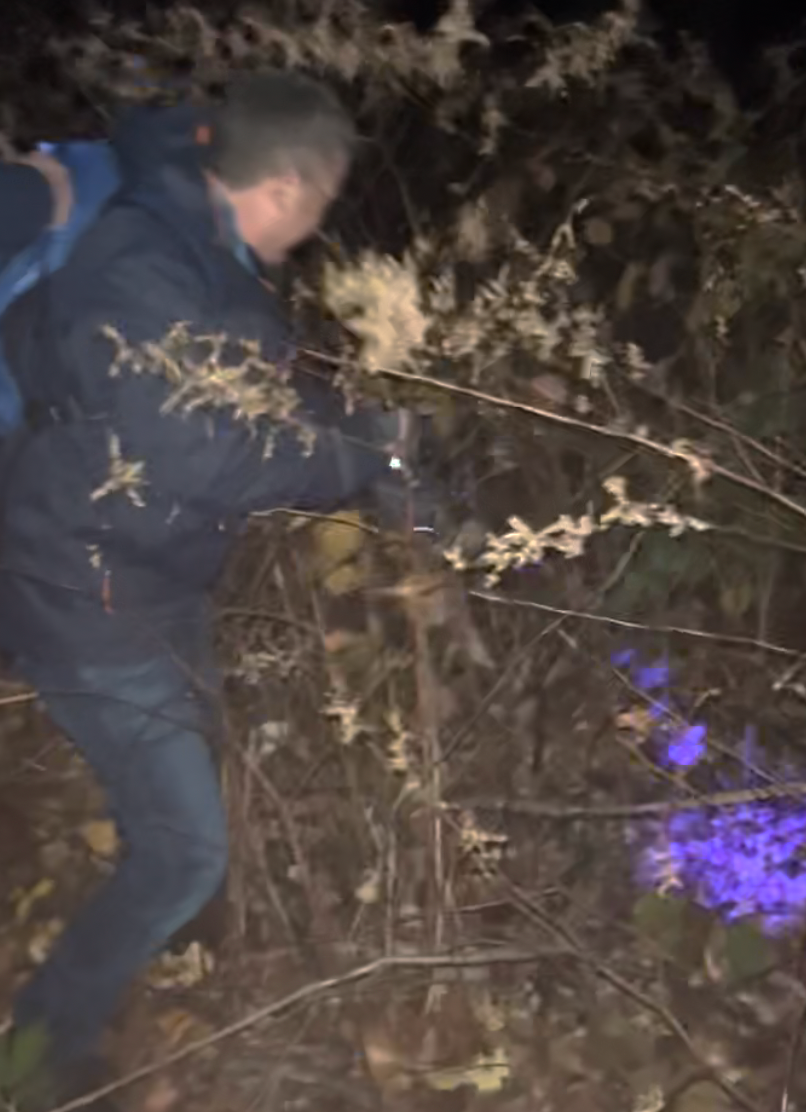 My foursome found 154 golf balls in less than an hour. Here’s how we did it