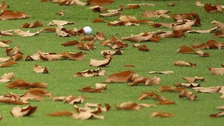 This genius golf amenity solves for one of nature's biggest nuisances