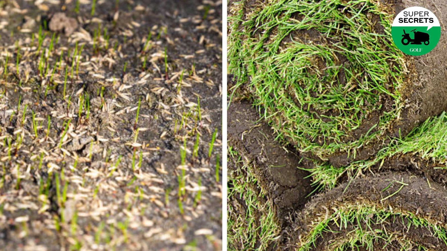 Is it too late to seed or sod with cold weather approaching?