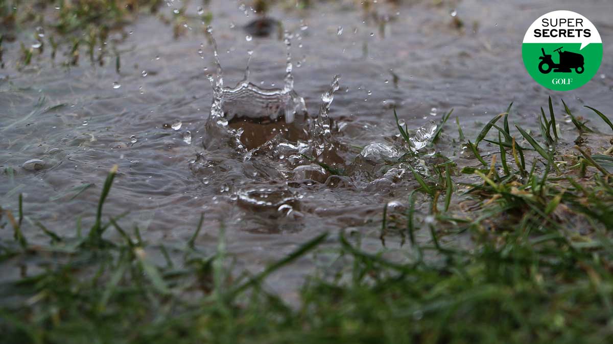 Is your yard a rain-soaked mess? Here are 5 smart things to do