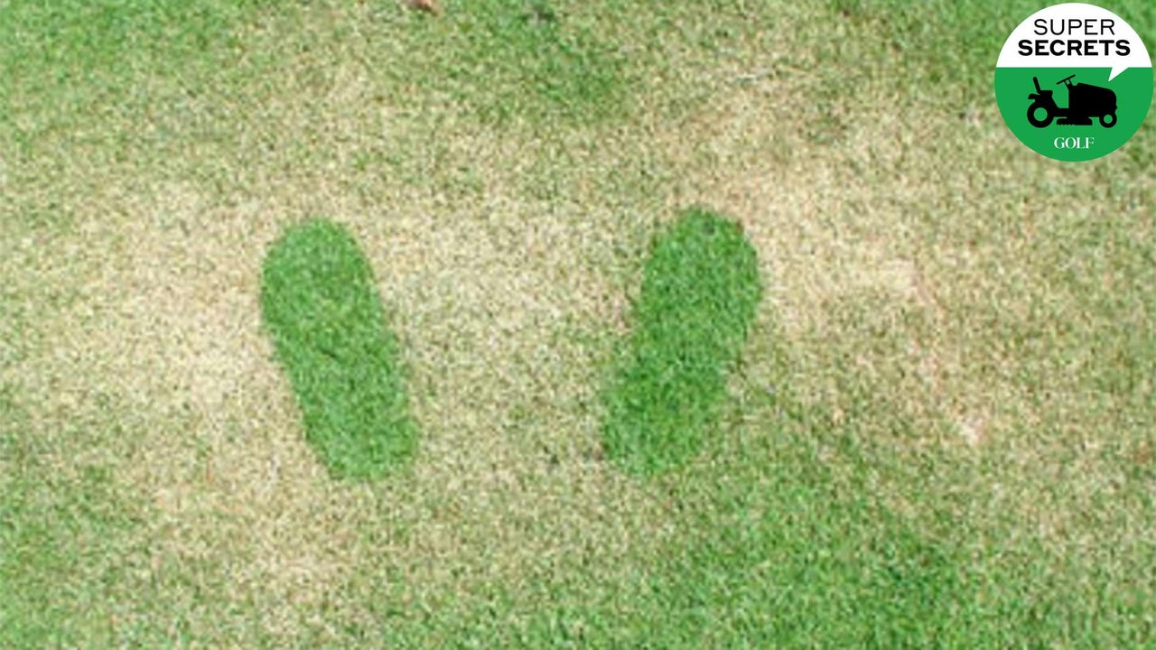 4 things you probably didn't know could harm golf courses