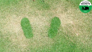 4 things you probably didn't know could harm golf courses