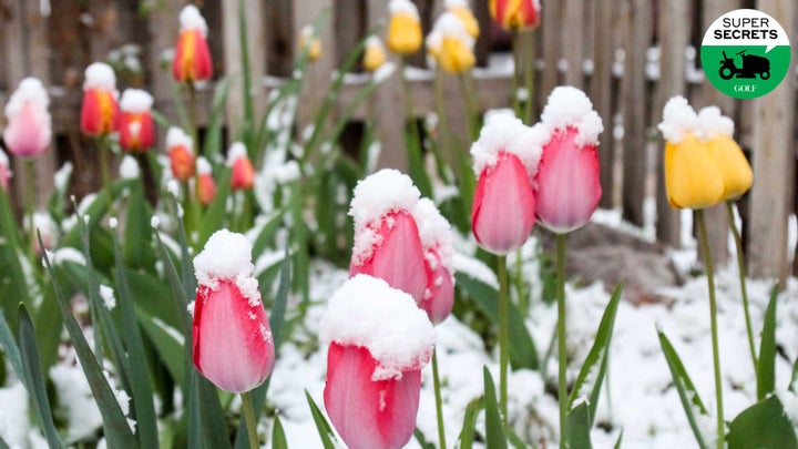 How to protect your lawn from weird winter weather patterns