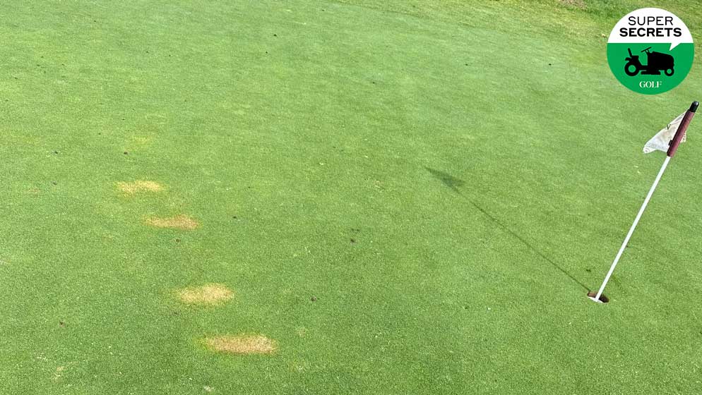 Why grinding on your putting can be bad for greens. A super explains