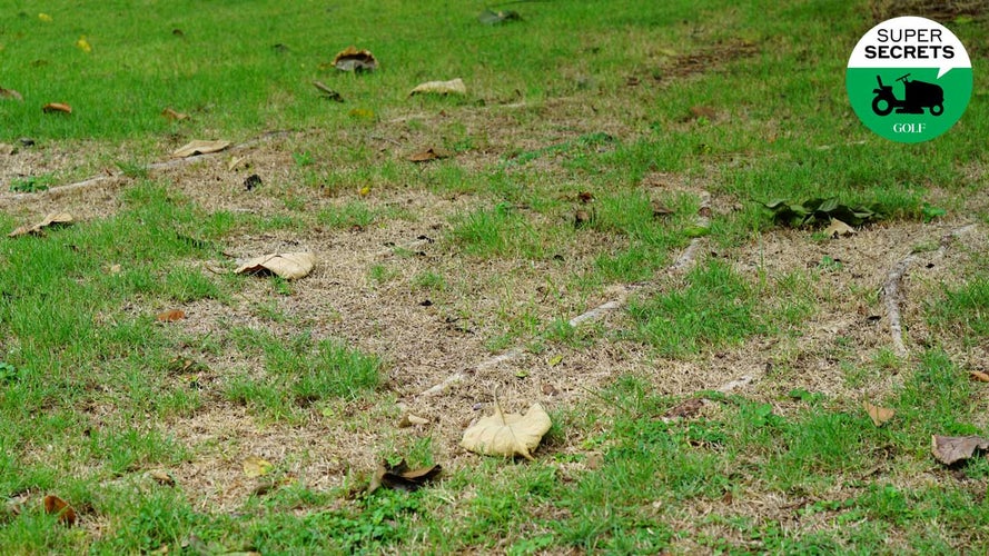 5 reasons your lawn is ugly (and how to fix it!), according to a ...