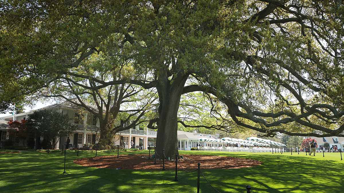 At the Masters, the most exclusive spot is under golf’s most famous tree