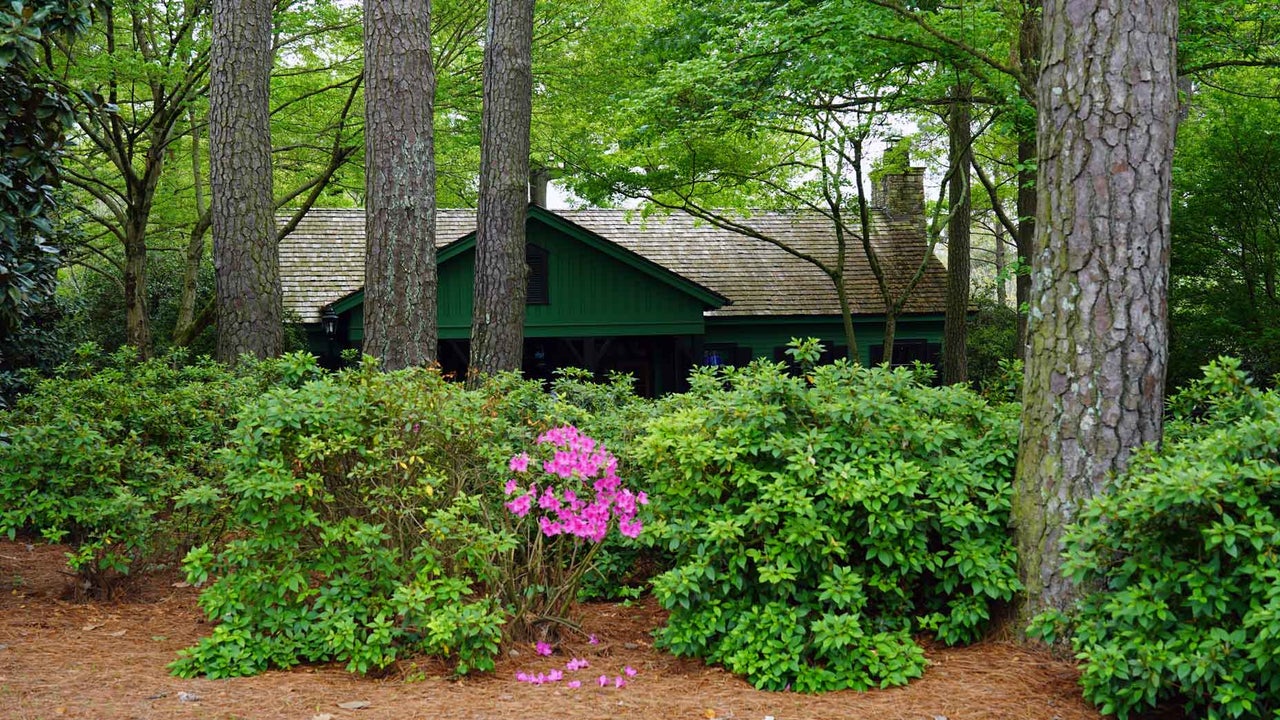 The mysterious cottage in the trees at Amen Corner is the ultimate VIP ...
