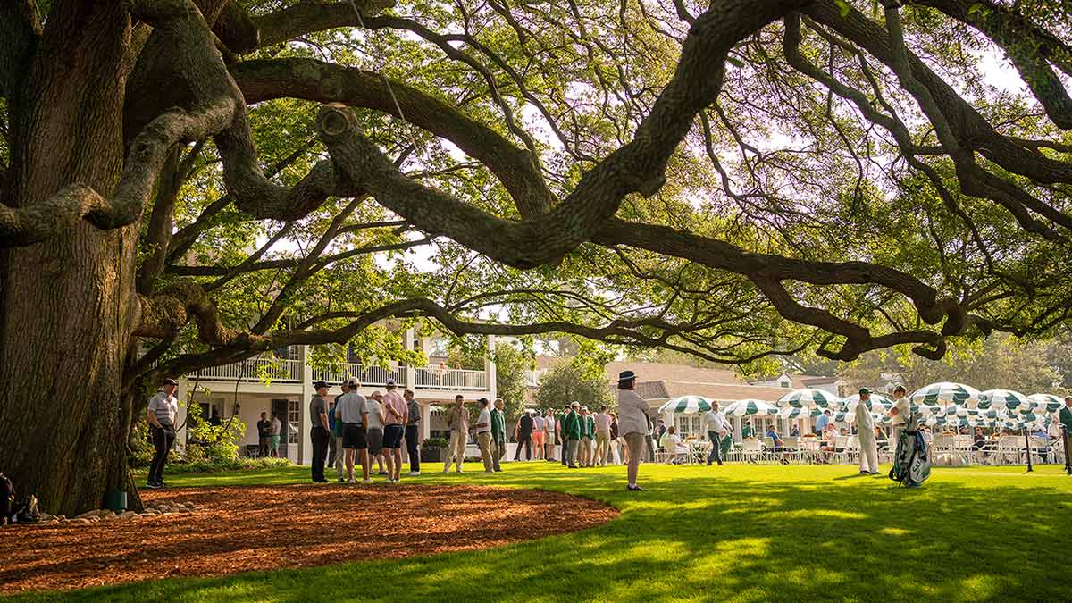 At the Masters, the most exclusive spot is under golf’s most famous tree