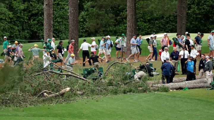 Towering trees fall during Masters at Augusta National, scattering patrons