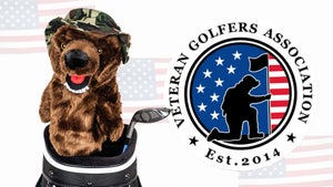 Daphne's military bear driver headcover benefits golf-loving veterans