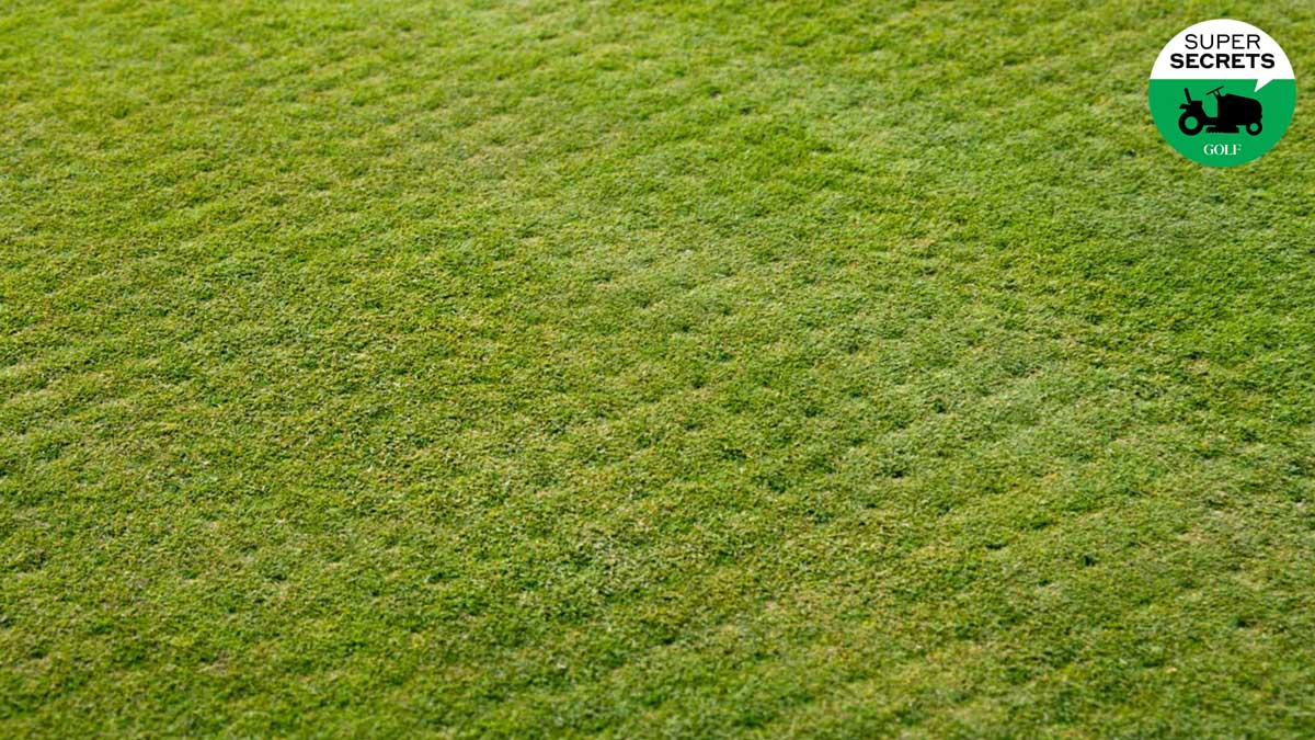 Why do golf courses aerate peak-condition greens? Hint: Not to annoy you