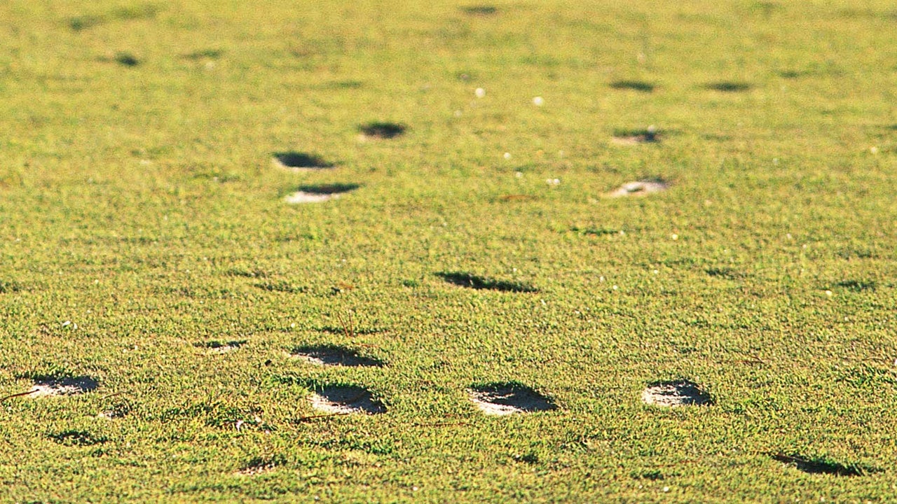 This simple divot drill will help you compress the golf ball
