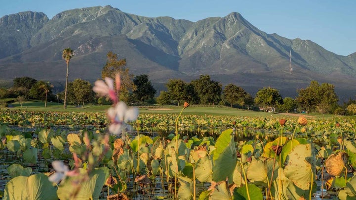 Fancourt: Resort review, golf courses, highlights and more