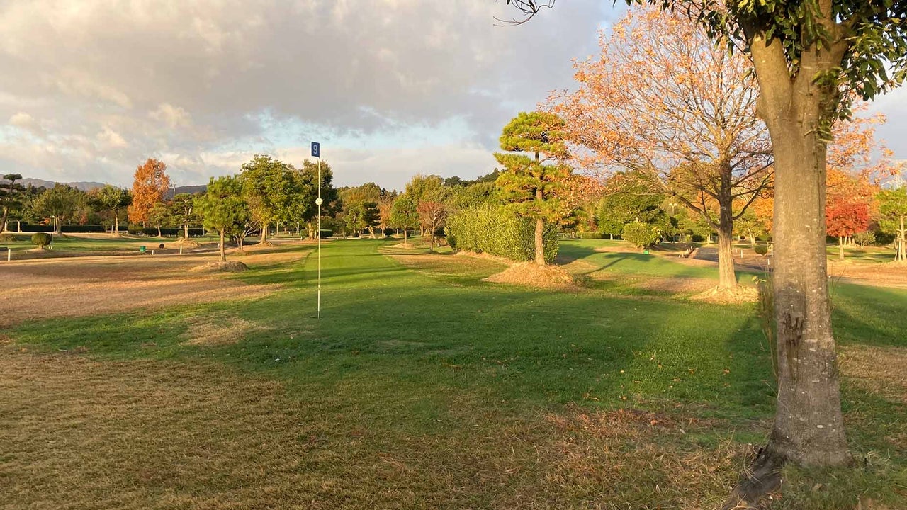 Inside the All-Japan Park Golf Championship: A tournament unlike any other