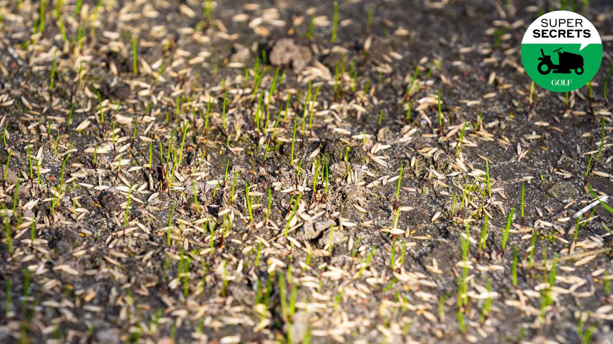It's a crucial month for your lawn. Do these 5 things now to grow ...