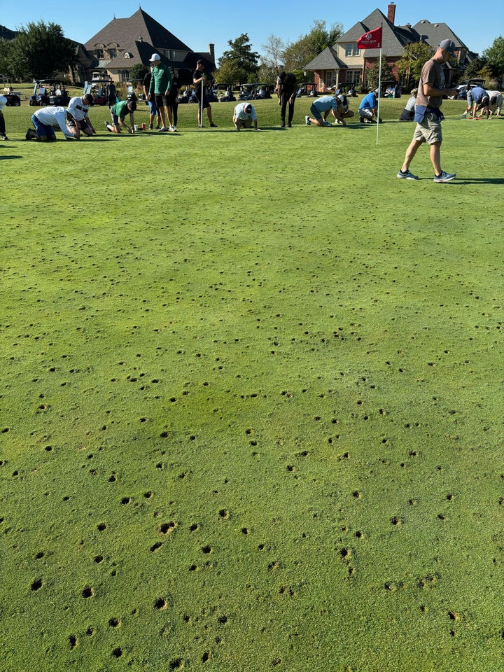 This course's greens were destroyed. Then a beautiful thing happened