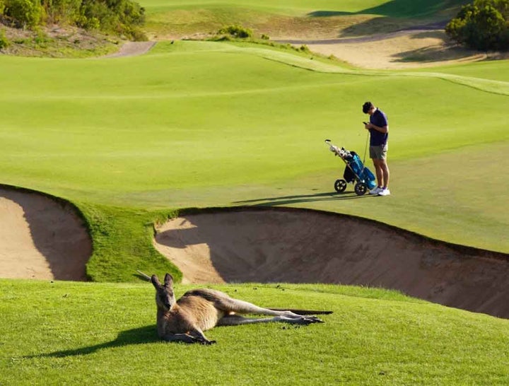 13 golf photos we loved from 2024 — from our staff's phones!