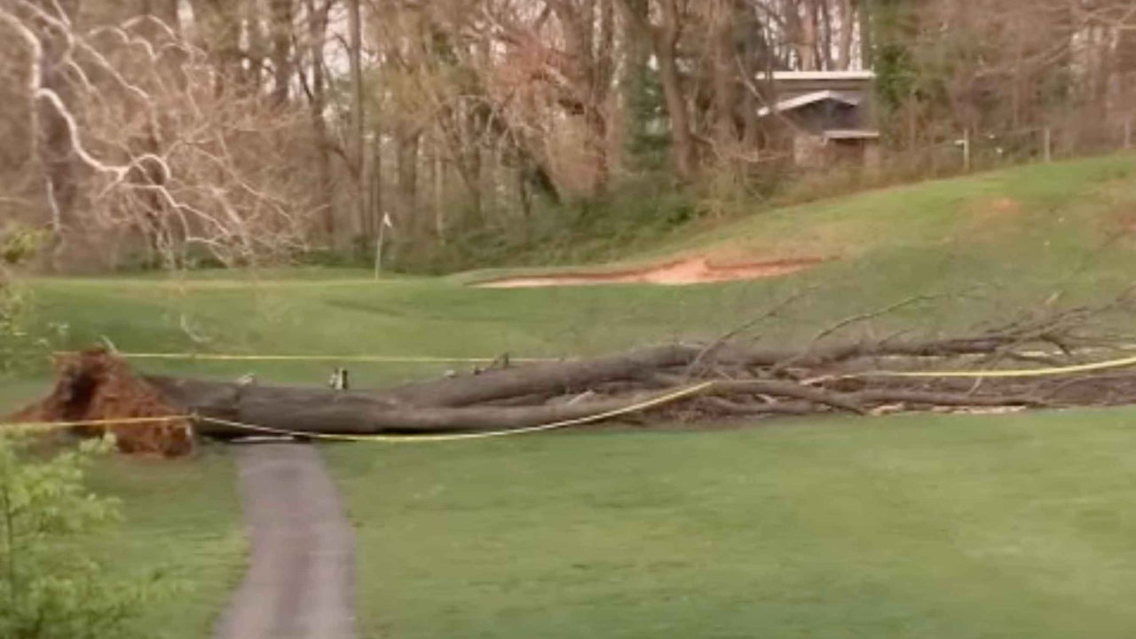 His death on a golf course is inexplicable. His 25 years of life are an ...