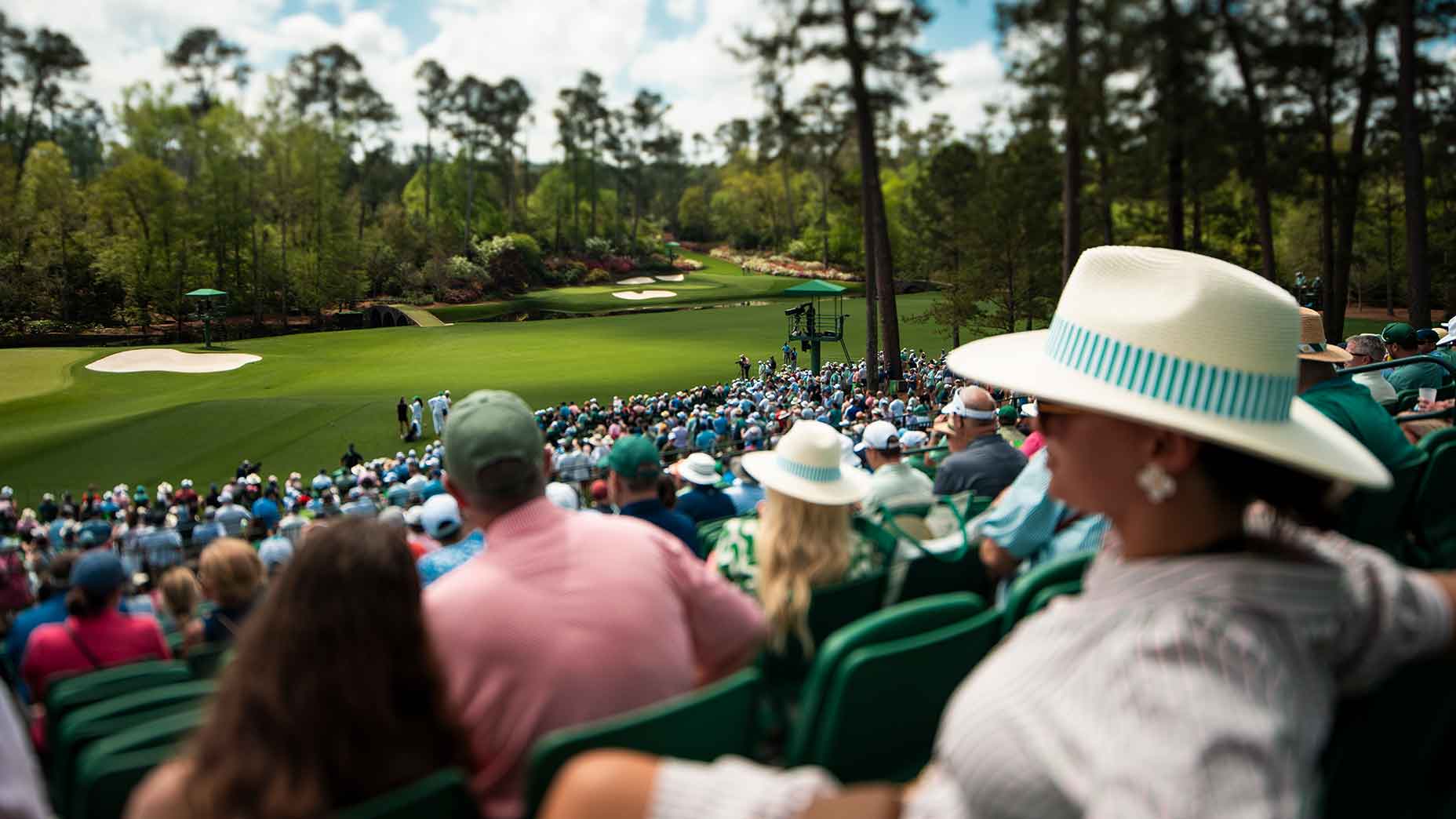 The 13 kinds of Masters patrons, ranked!