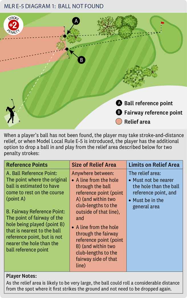 What are Local Rules, and why do they exist?